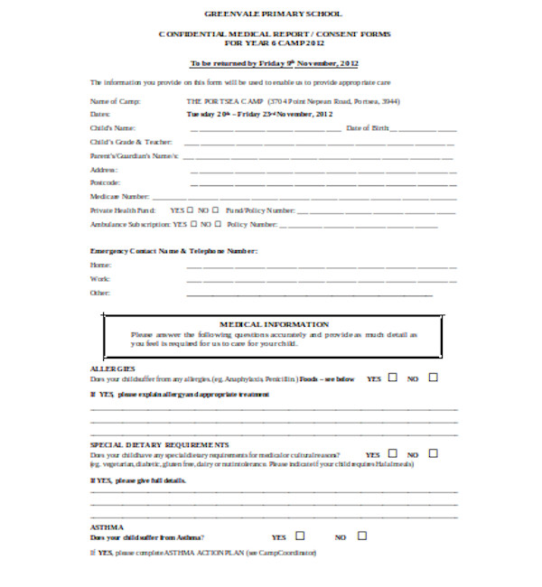 FREE 14+ Child Medical Consent Form Samples, PDF, MS Word, Google Docs ...