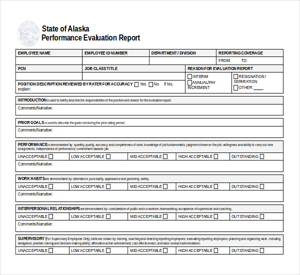 FREE 15+ Performance Evaluation Form Samples, PDF, MS Word, Google Docs ...