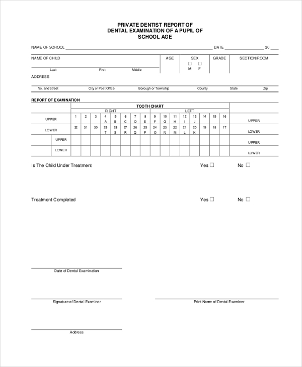 FREE 17+ Examination Form Samples, PDF, MS Word, Google Docs, Excel