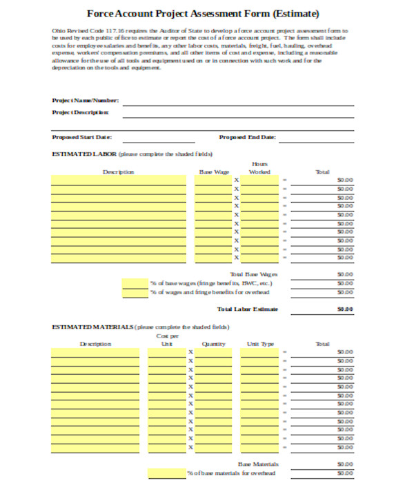 FREE 12+ Sample Project Assessment Froms in PDF | MS Word | Excel