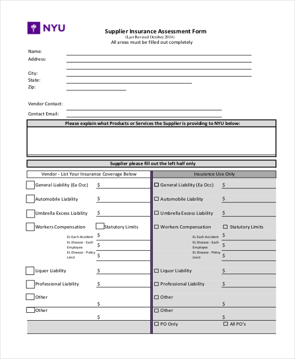 FREE 9+ Sample Insurance Assessment Forms in PDF | Excel | MS Word