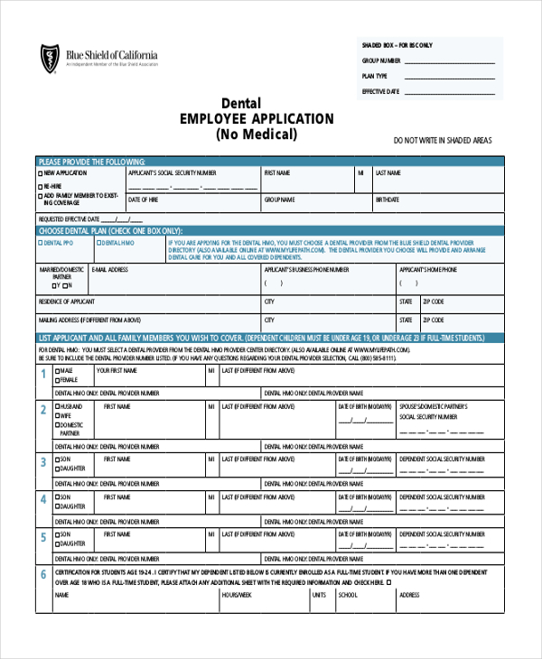 FREE 13+ Sample Employee Application Forms in PDF | Excel | MS Word