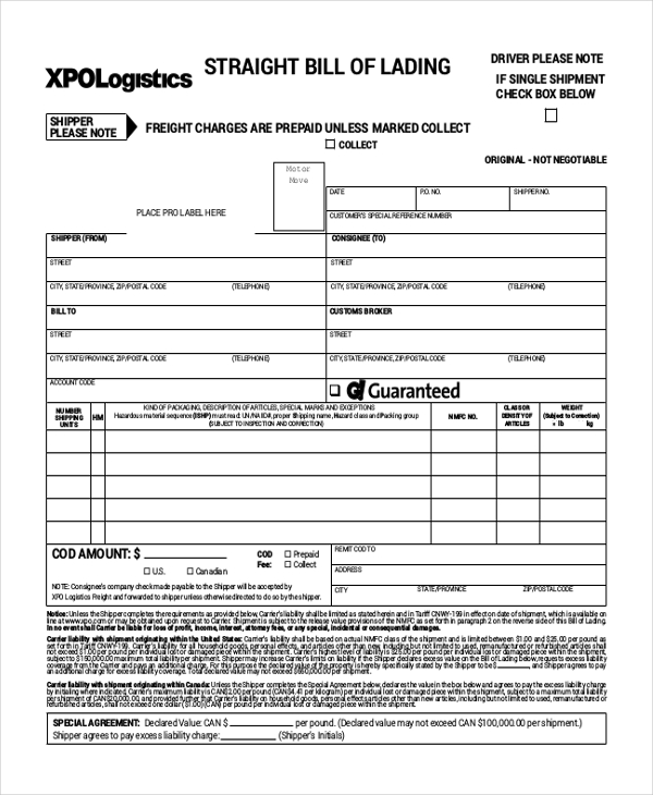 FREE 15 Sample Bill Of Lading Forms In PDF Excel MS Word