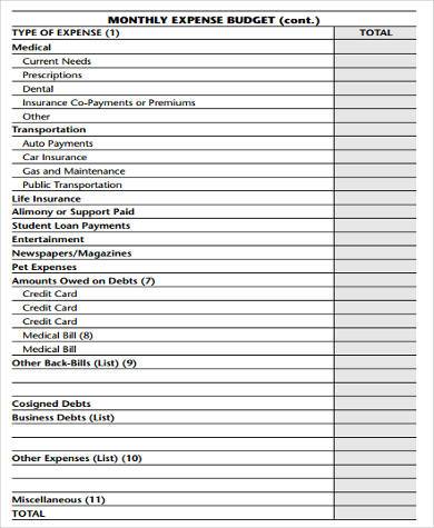 FREE 8+ Sample Business Budget Forms in PDF | MS Word
