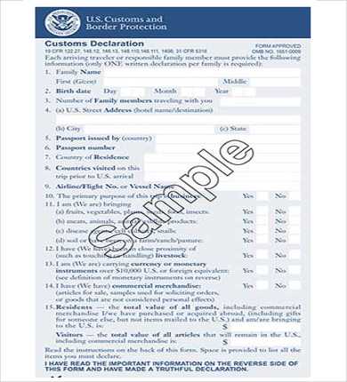 FREE 13+ Custom Declaration Form Samples, PDF, MS Word, Google Docs, Excel