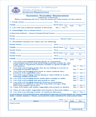 FREE 13+ Custom Declaration Form Samples, PDF, MS Word, Google Docs, Excel