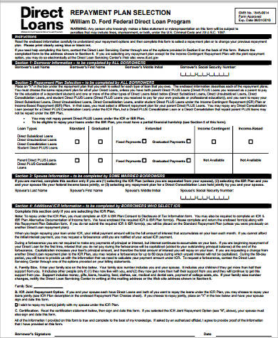 FREE 8+ Sample Income Based Repayment Forms in PDF | MS Word