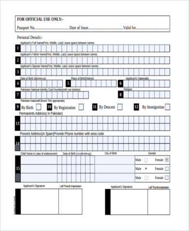FREE 11+ Lost Passport Form Samples, PDF, MS Word, Google Docs