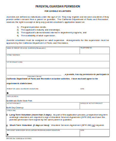 FREE 11+ Legal Guardian Form Samples, PDF, MS Word, Google Docs, Excel