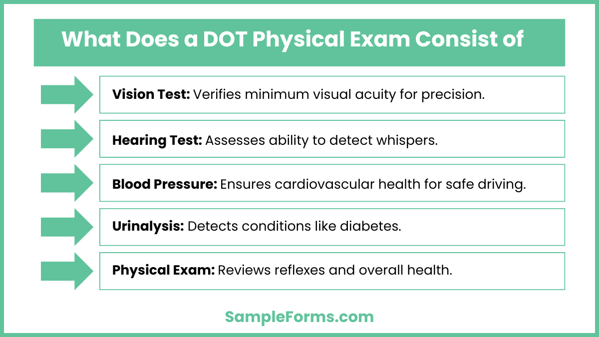 Free 17+ Dot Physical Form Samples, PDF, MS Word, Google Docs