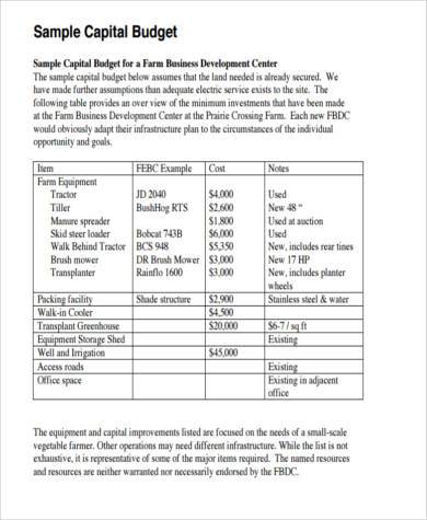 FREE 8+ Sample Capital Budget Forms in PDF | MS Word
