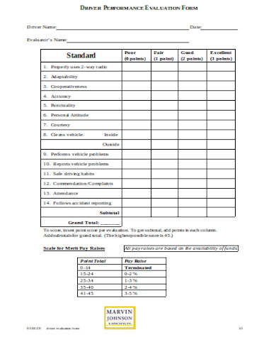 FREE 13+ Driver Evaluation Form Samples, PDF, MS Word, Google Docs
