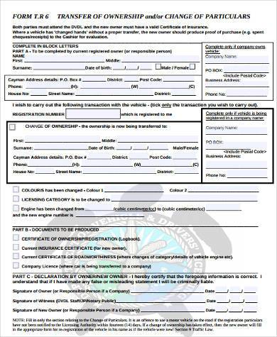 FREE 12+ Transfer of Ownership Form Samples, PDF, MS Word, Google Docs