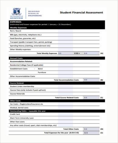 FREE 11+ Sample Financial Assessment Forms in PDF | MS Word | Excel