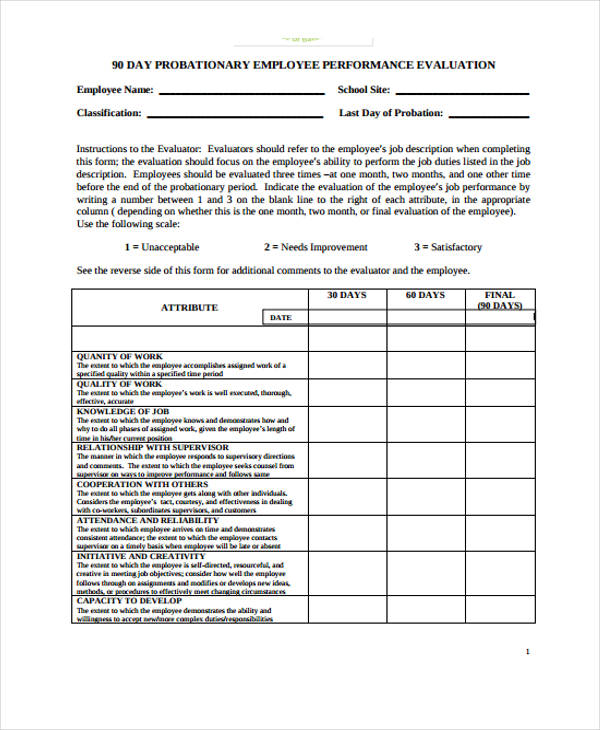 90 Day Evaluation Template