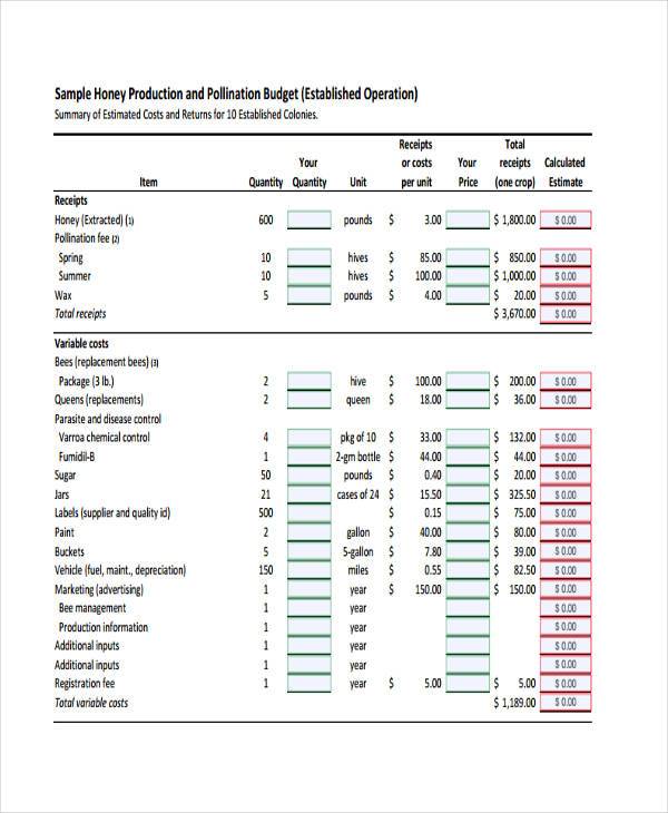 FREE 49+ Budget Forms in PDF | MS Word | Excel
