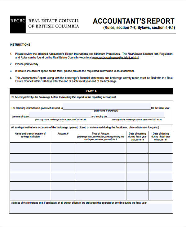 FREE 8 Account Report Forms In PDF MS Word Excel