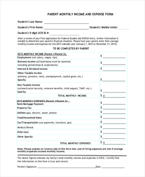 FREE 10+ Income and Expense Forms in PDF | MS Word