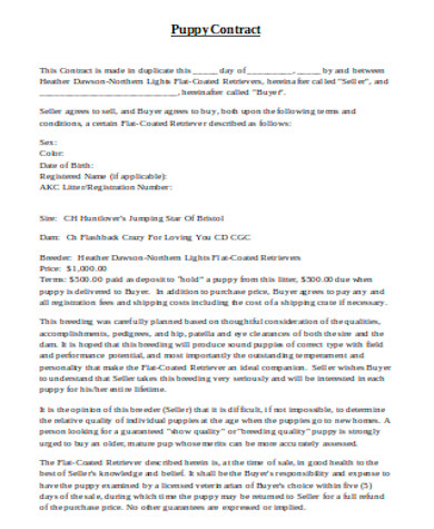 FREE 12+ Binding Contract Form Samples, PDF, MS Word, Google Docs