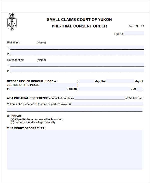 FREE 10+ Consent Order Forms in PDF | MS Word