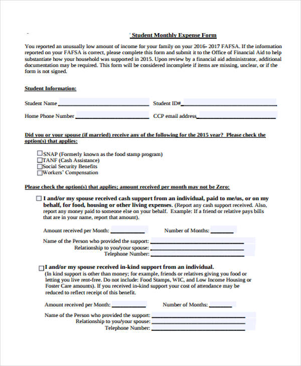 FREE 11+ Monthly Expense Forms in PDF | MS Word