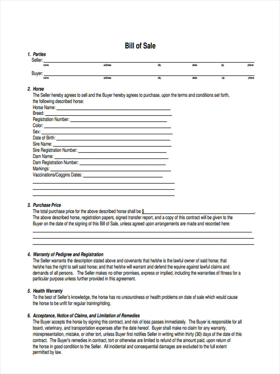 Simple Horse Bill Of Sale Template Jescentral