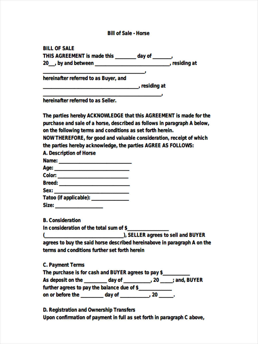 FREE 7 Horse Bill Of Sale Forms In PDF Ms Word