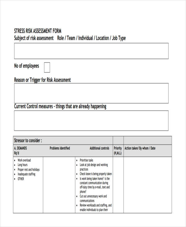 FREE 6+ IT Assessment Forms in PDF