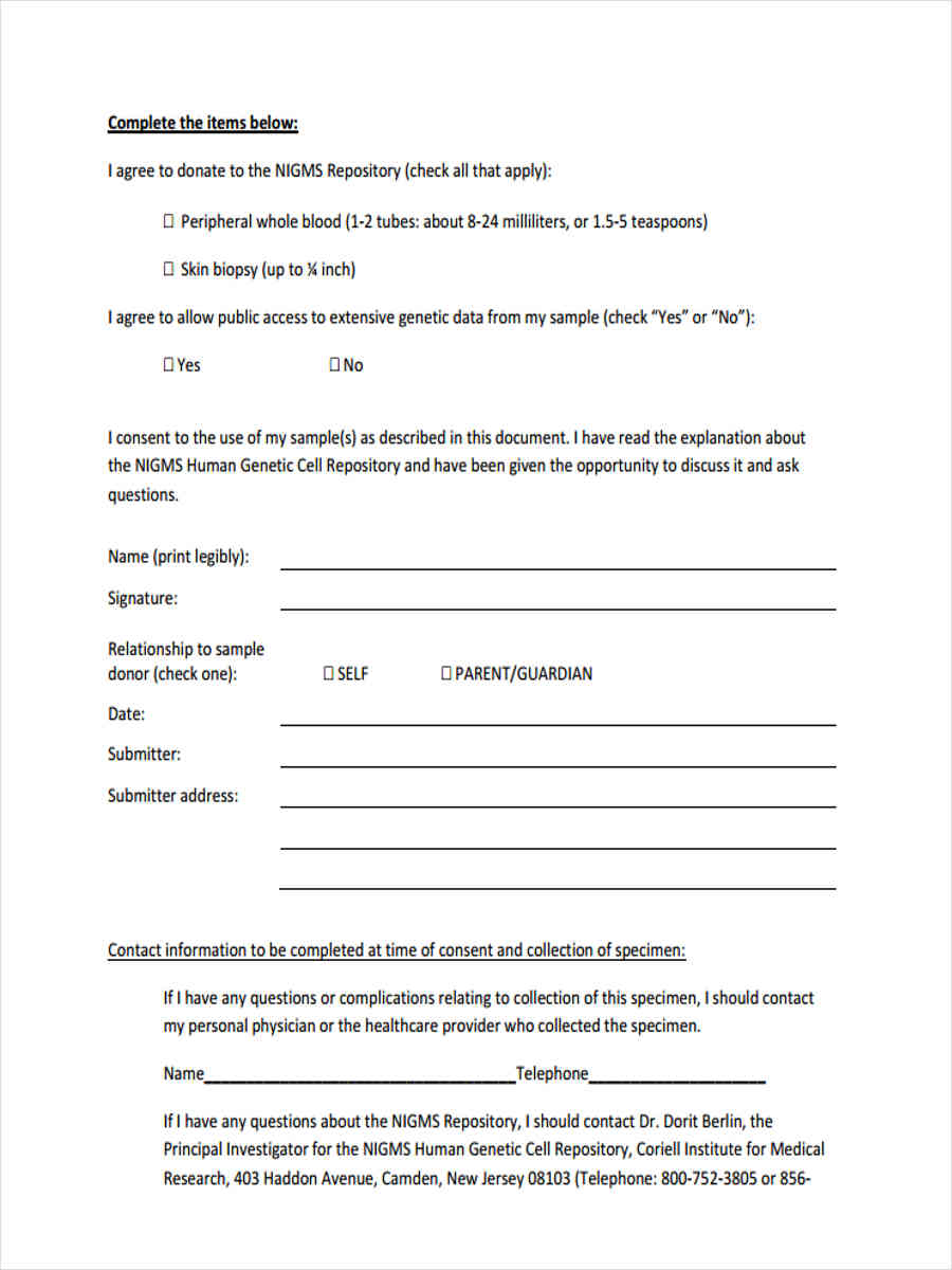 FREE 6+ Model Consent Forms in MS Word | PDF