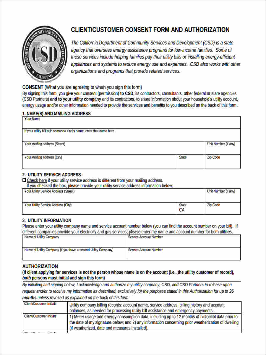 FREE 8+ Sample Client Consent Forms in MS Word | PDF