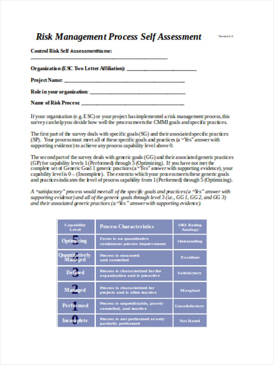 FREE 4+ Control Risk Assessment Forms in PDF | MS Word