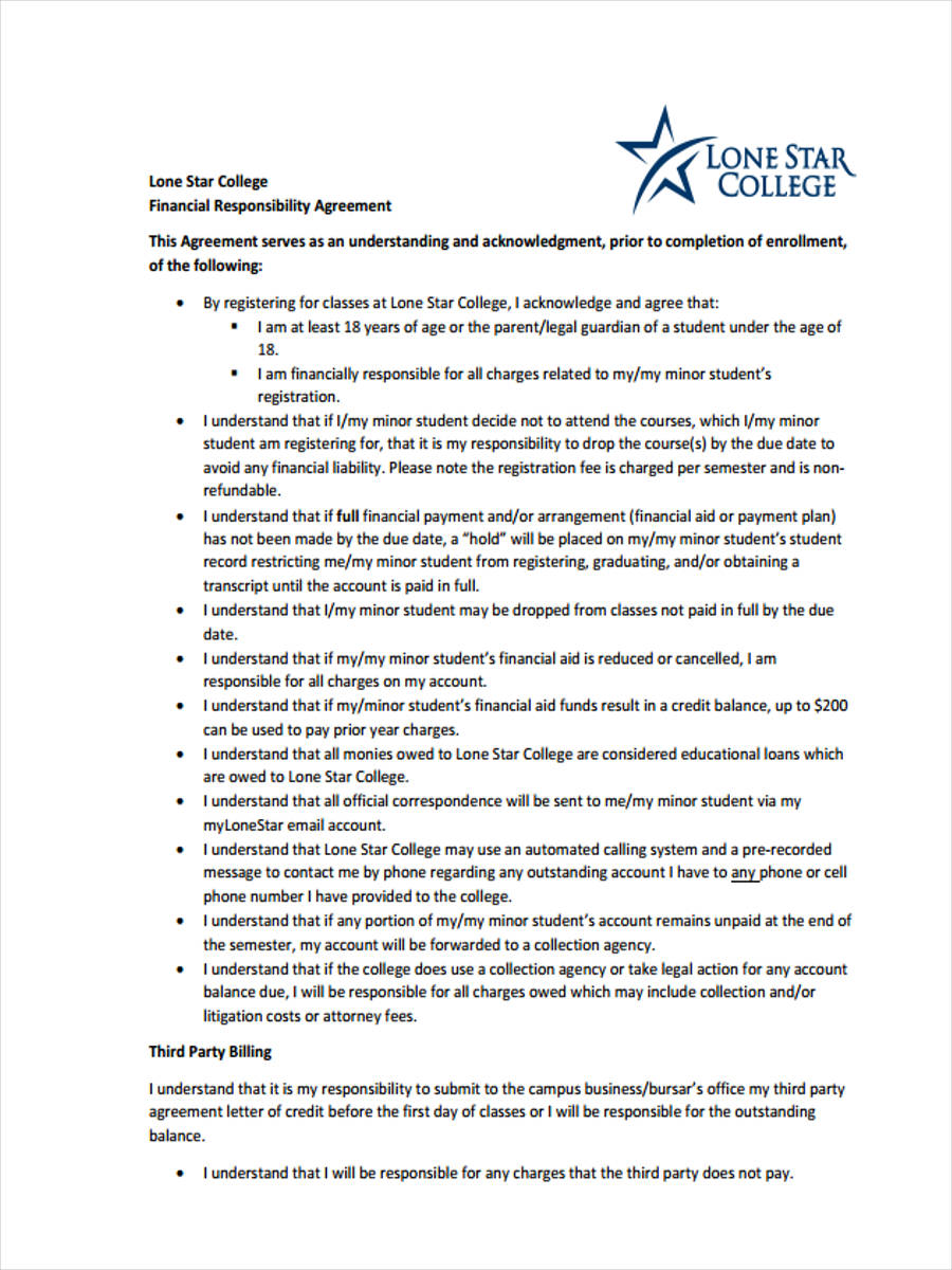 FREE 8+ Financial Responsibility Forms in PDF | Ms Word | Excel