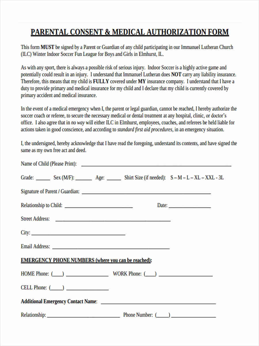 FREE 34+ Consent Form Formats in PDF | MS Word | Excel