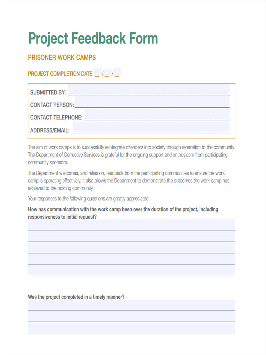 FREE 10+ Project Feedback Forms in PDF | Ms WOrd
