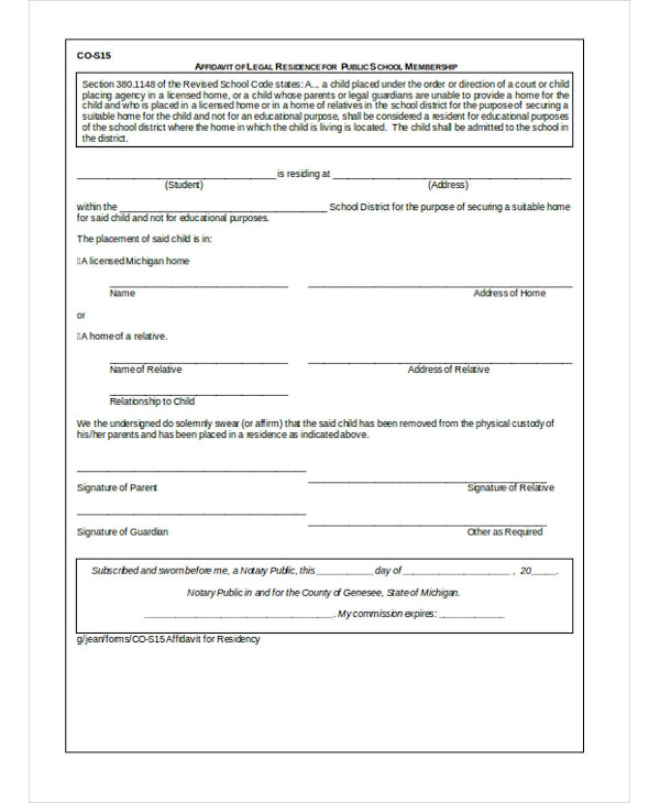 FREE 9+ Legal Affidavit Forms in PDF | MS Word