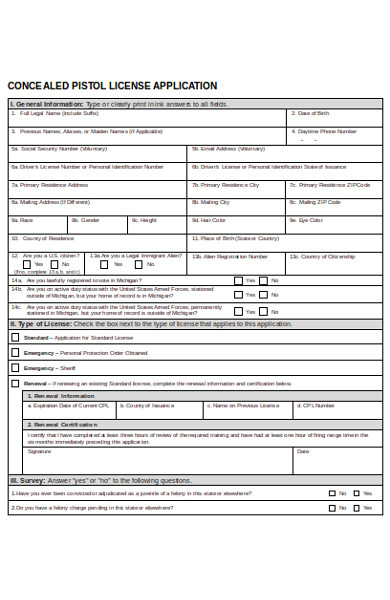 FREE 10+ Gun Registration Forms in PDF | Ms Word
