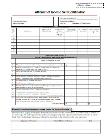 FREE 15+ Income Affidavit Form Samples, PDF, MS Words, Google Docs