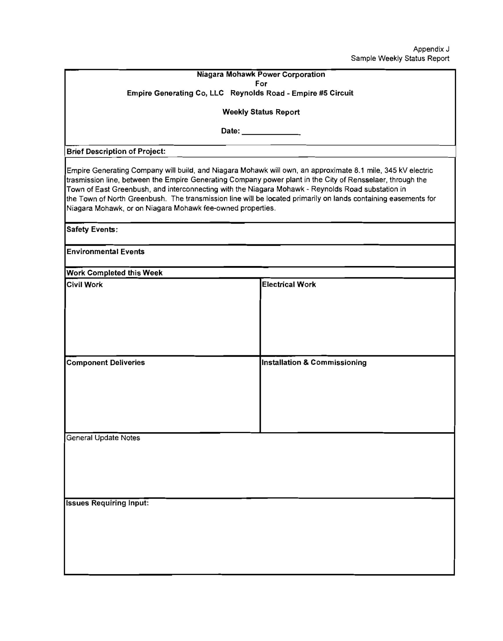 Operations Manager Report Template