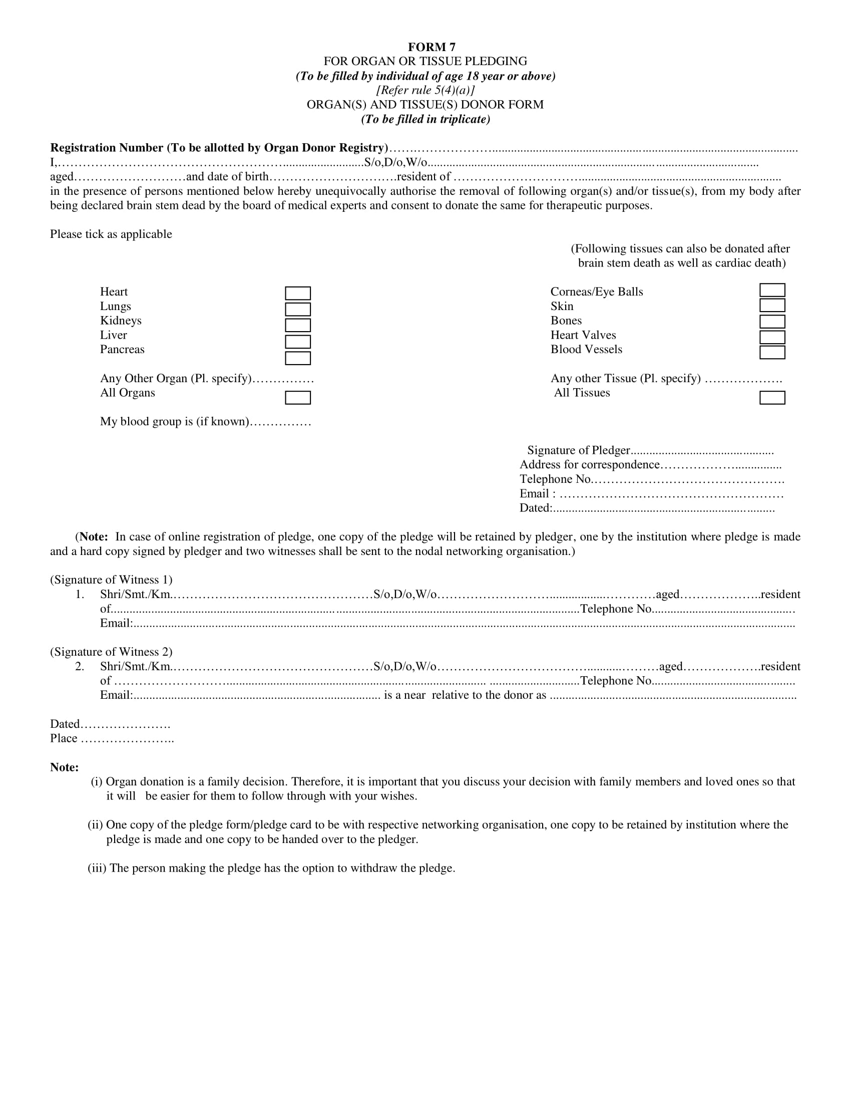 FREE 36+ Donation Forms in PDF | MS Word | Excel