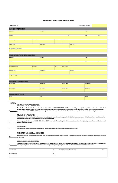 FREE 10+ New Patient Intake Form Samples, PDF, MS Word, Google Docs, Excel