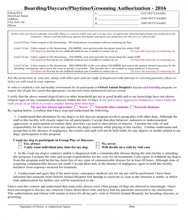 FREE 5+ Daycare Authorization Forms in PDF