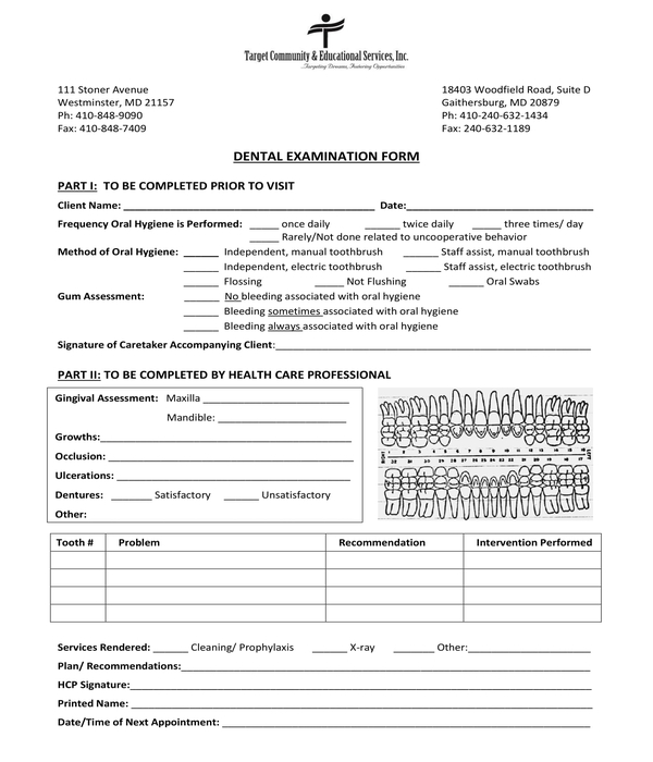 FREE 10+ Dental Examination Form Samples, PDF, MS Word, Google Docs