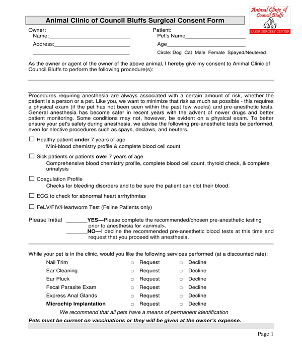 FREE 17+ Surgical Consent Form Samples, PDF, MS Word, Google Docs