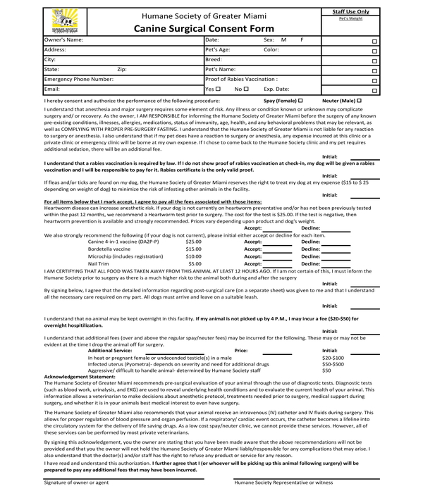 FREE 17+ Surgical Consent Form Samples, PDF, MS Word, Google Docs