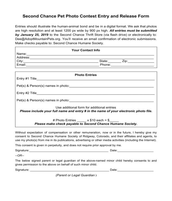 FREE 7+ Pet Photo Release Forms in PDF | MS Word