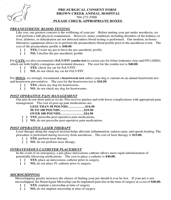 FREE 17+ Surgical Consent Form Samples, PDF, MS Word, Google Docs