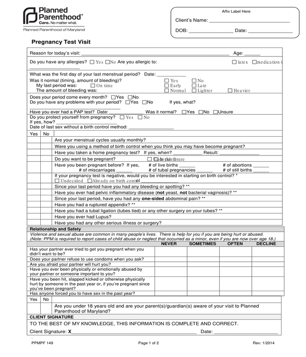 FREE 12+ Proof of Pregnancy Form Samples, PDF, MS WOrd, Google Docs