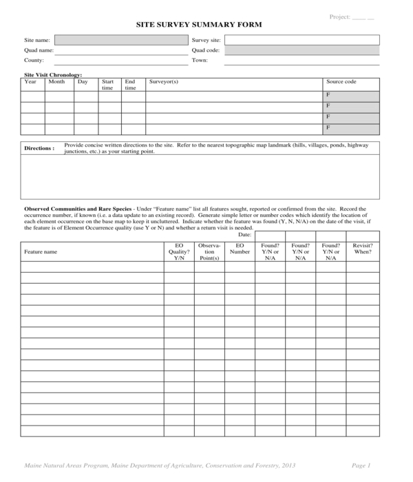 FREE 12+ Site Survey Form Samples, PDF, MS Word, Google Docs