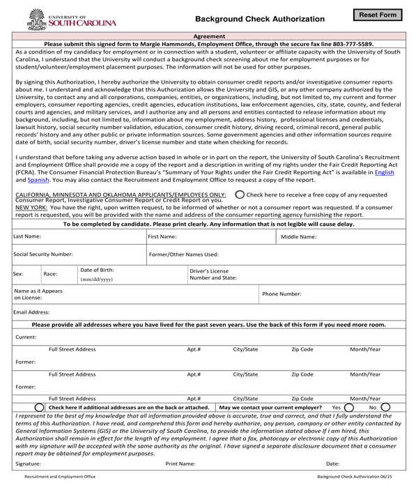 FREE 10+ Background Check Authorization Forms in PDF | MS Word