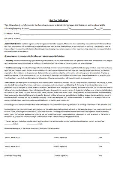 FREE 10+ Bed Bug Addendum Forms in PDF | MS Word